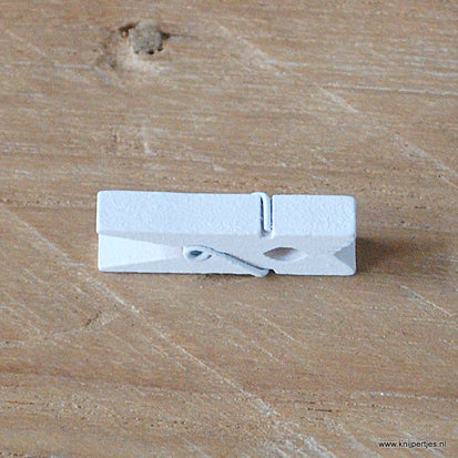Decoratie knijpers kopen? | Mini knijpers met print | Knijpertjes.nl